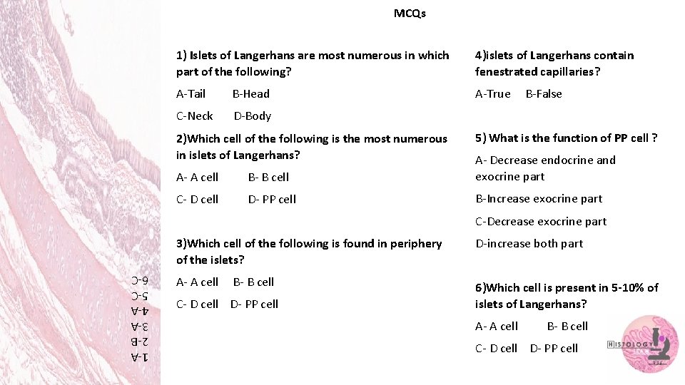 PANCREAS Color index Slides Important Notes Extra Objectives