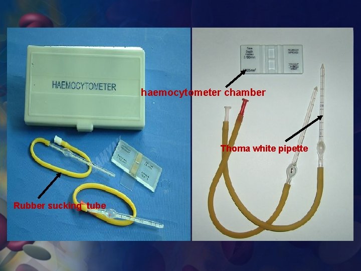 Practical Hematology Lab LAB 2 White Blood Cell