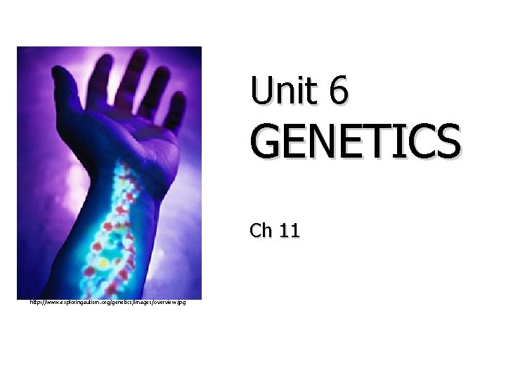 Unit 6 GENETICS Ch 11 http www exploringautism