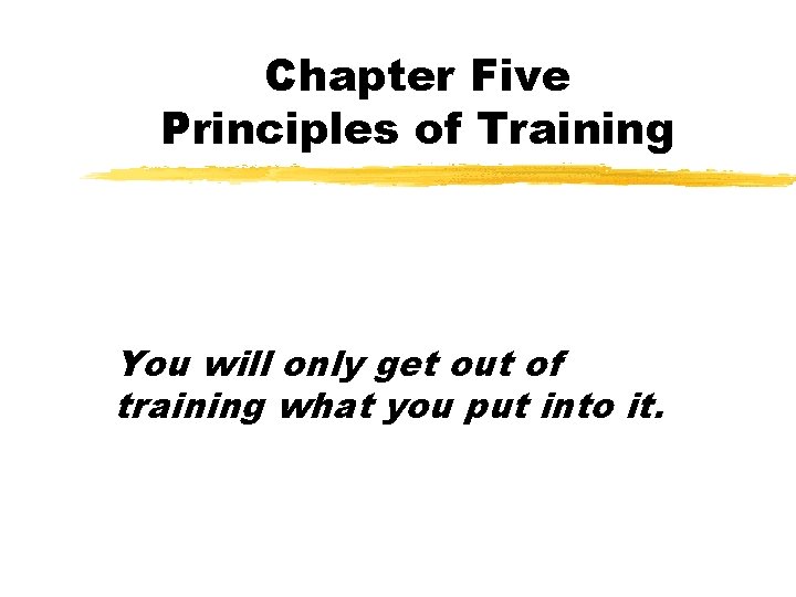 Chapter Five Principles of Training You will only