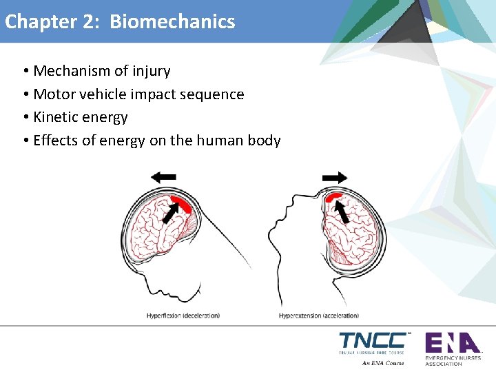 Welcome and Initial Assessment Notice of Disclosures Program