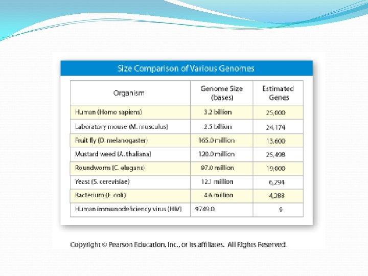 Chapter 14 Human Inheritance Section 14 3 Studying