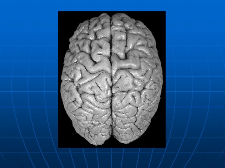 Pediatric Mental Health Update Scott Grewe Ph D