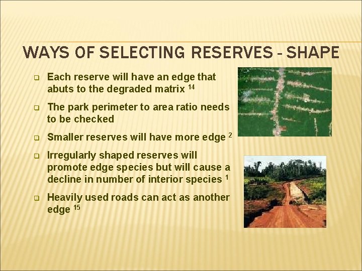 BCB 341 Principles of Conservation Biology RESERVE DESIGN