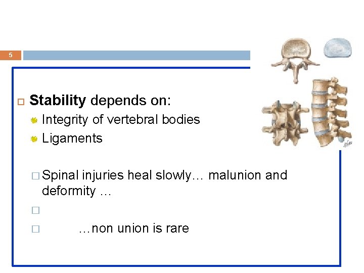 1 SPINAL FRACTURES 2 Epidemiology 3 Spinal injuries