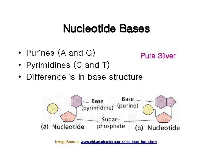 Bioinformatics for Vet Part III Sung Youn Lee
