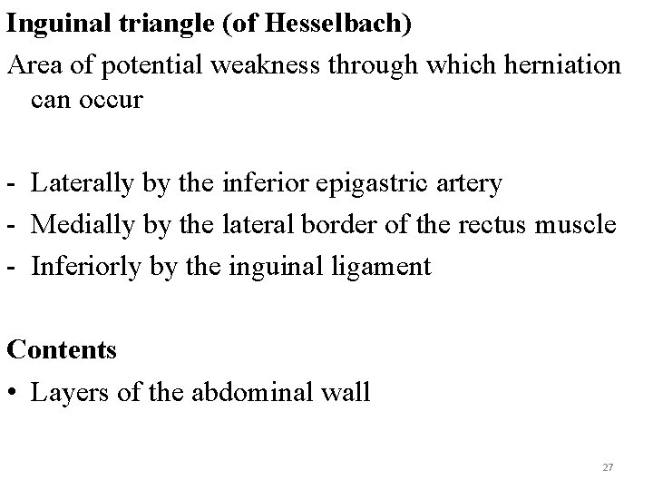 Osteology of the Lower Limb ANA 208 Lecture