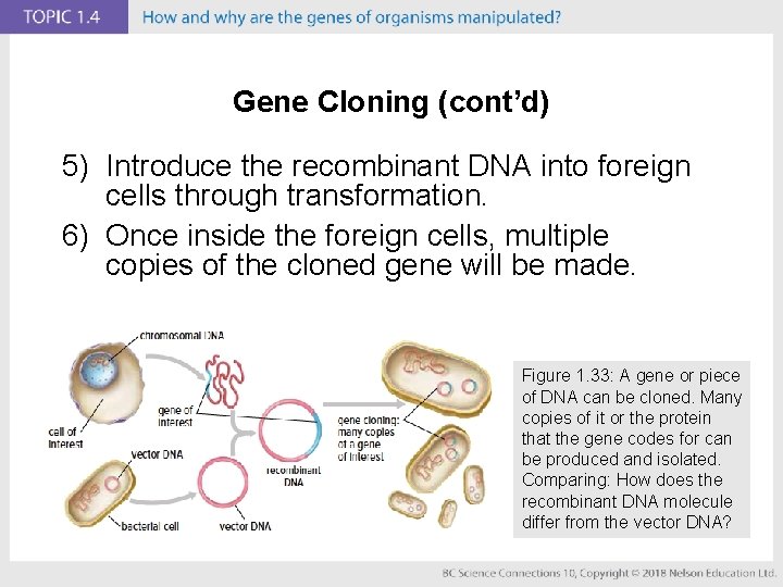 BC Science Connections 10 Unit 1 DNA is