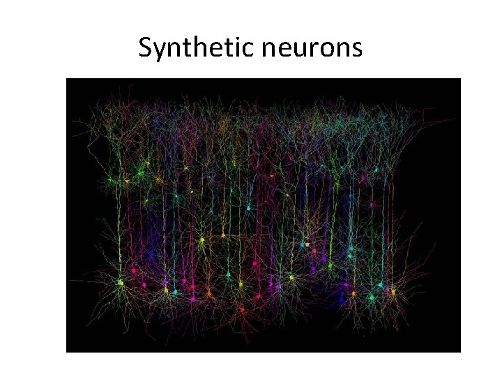 Objective SWBAT relate organs and tissues in the