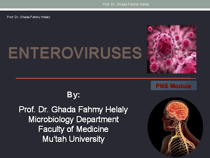 Prof Dr Ghada Fahmy Helaly Prof Dr Ghada