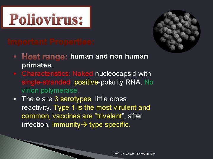 Prof Dr Ghada Fahmy Helaly Prof Dr Ghada