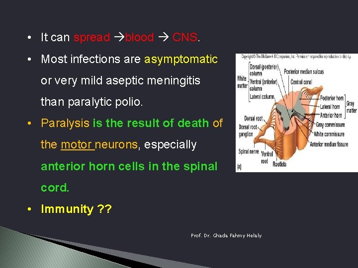 Prof Dr Ghada Fahmy Helaly Prof Dr Ghada