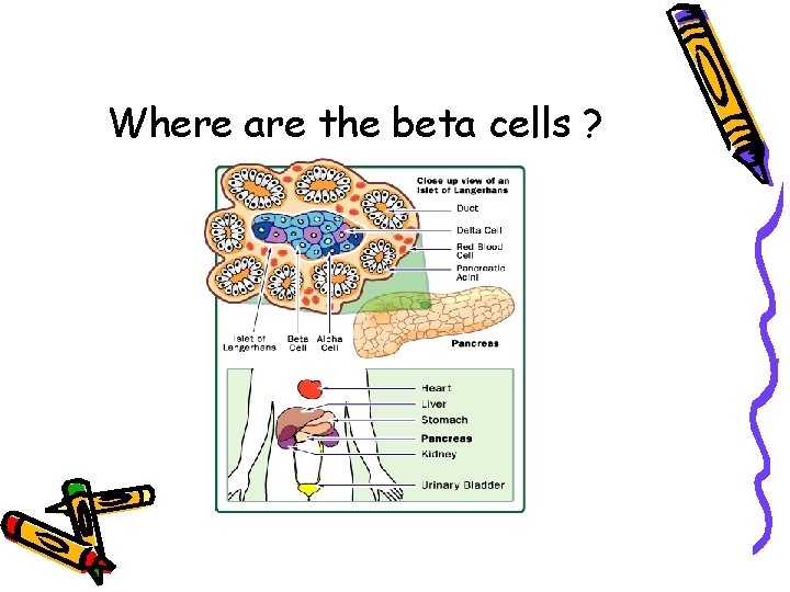 Helping children with Diabetes what is it and
