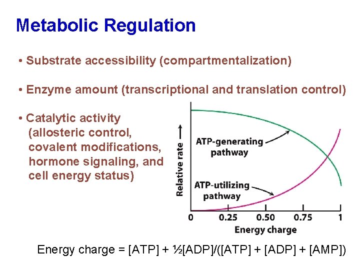 Transit and Metabolic Maps Complex and Functional Glycolysis