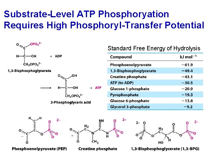 Transit and Metabolic Maps Complex and Functional Glycolysis