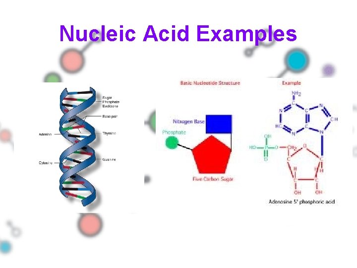 What to do about the worlds most deadly