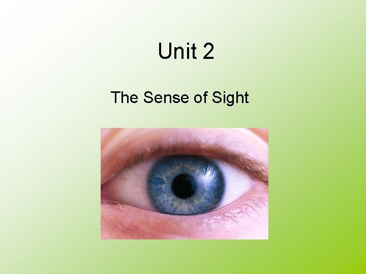 Unit 2 The Sense of Sight Content Learning