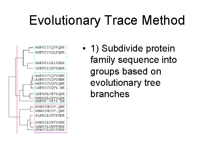 A regulator of G protein signaling interaction surface
