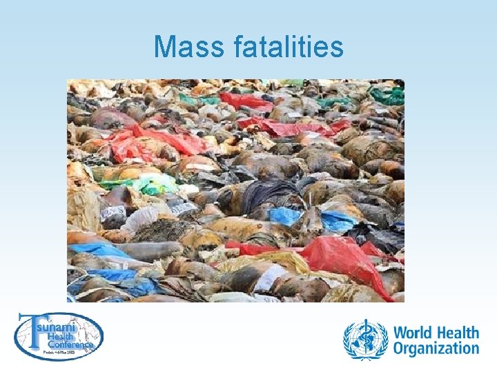 General Aspects Regarding Management of Dead Bodies Tsunami