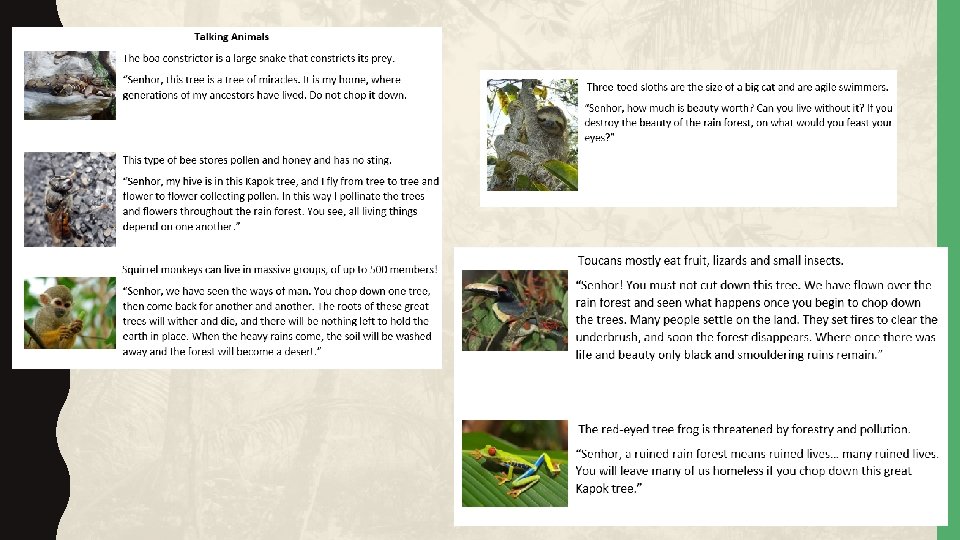 YEAR 4 HOME LEARNING PACK 6 THE FOLLOWING