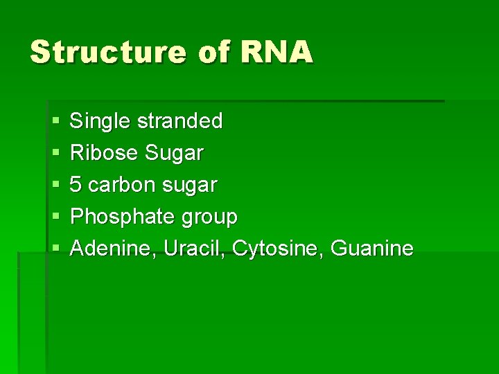 RNA Ribonucleic Acid Structure of RNA Single stranded