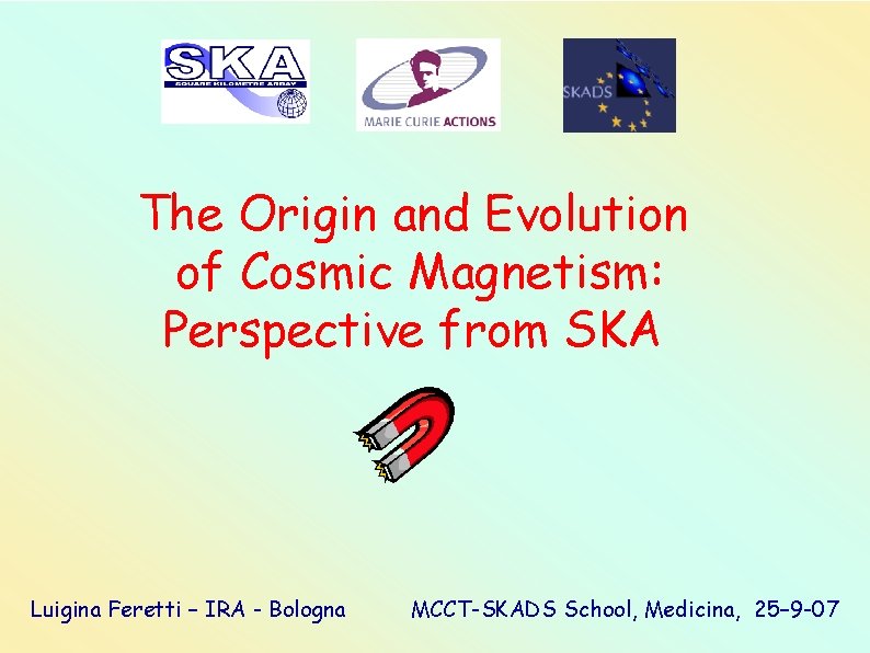 The Origin and Evolution of Cosmic Magnetism Perspective