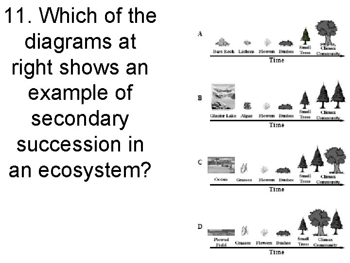Practice EOCT Ecology Domain 1 Which occurrence is