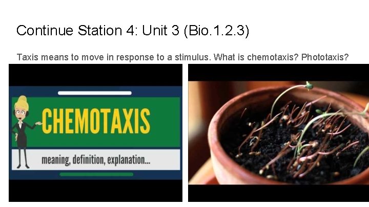 Station One Unit 2 Bio 4 1 1