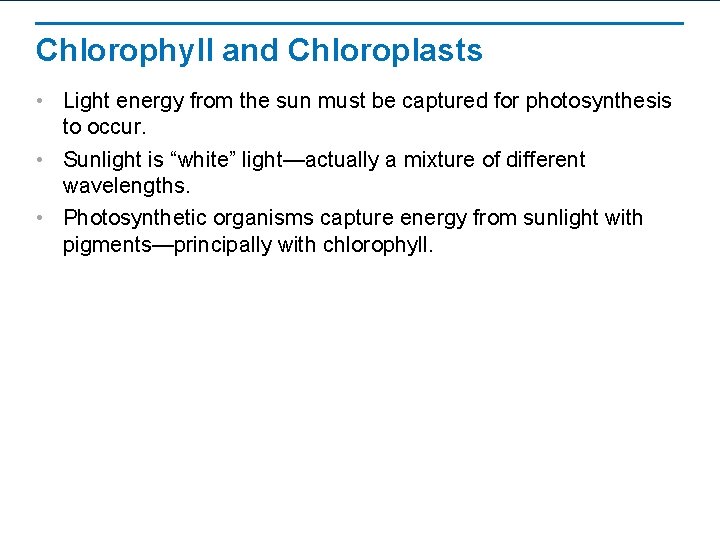 Photosynthesis An Overview Learning Objectives Explain the role