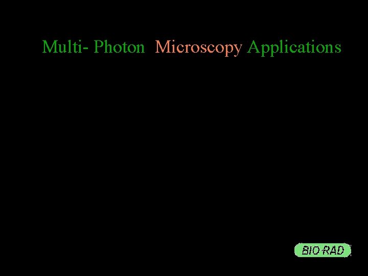 Multi Photon Microscopy Applications MULTIPHOTON APPLICATIONS Calcium and