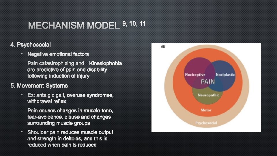 CHRONIC PAIN ADAPTATIONS AND INTERVENTIONS BY KYLE WOLFE