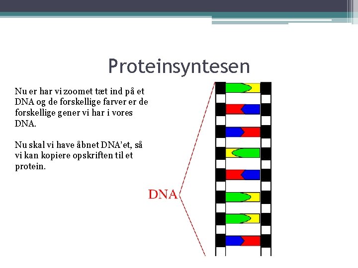 Krt barn har mange navne Transkription Protein syntesen