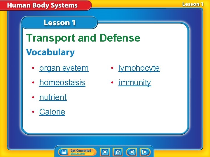 Transport and Defense organ system lymphocyte homeostasis immunity