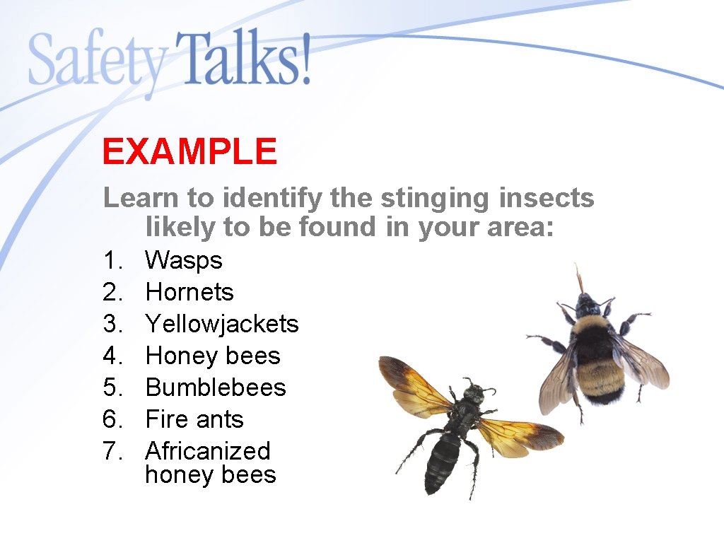 Click to start Stinging Insects SEASONAL SAFETY T