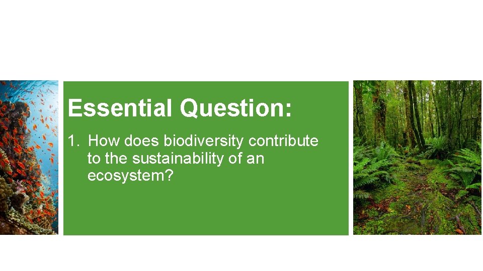 Biodiversity Presented by Kesler Science Essential Question 1