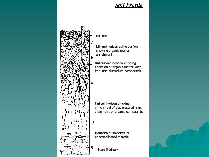 Soils and Soil Science Soil u Definition A