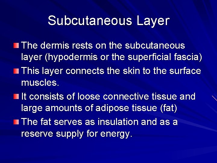 Integumentary System The skin is easily observed It