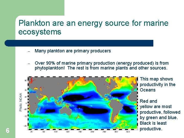 Lesson 17 Plankton Marine Biology What exactly are