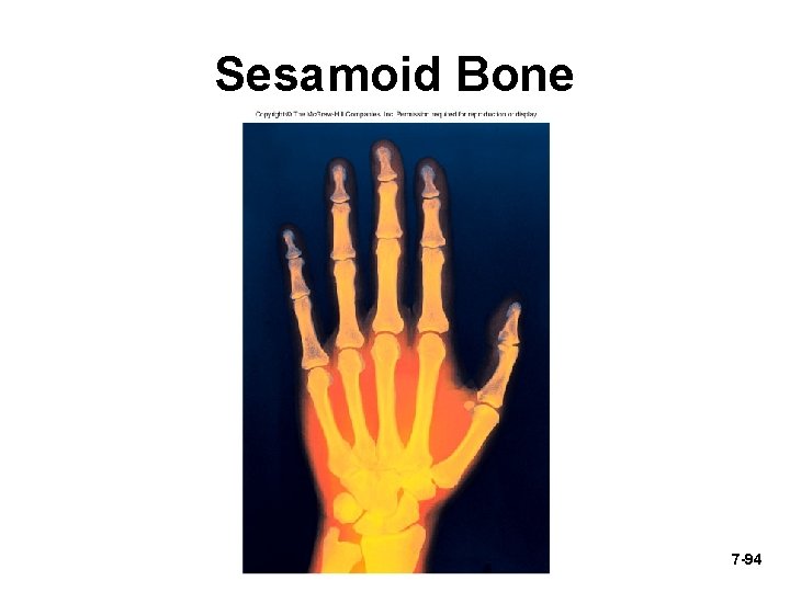 Bone Tissue Tissues and organs of the skeletal