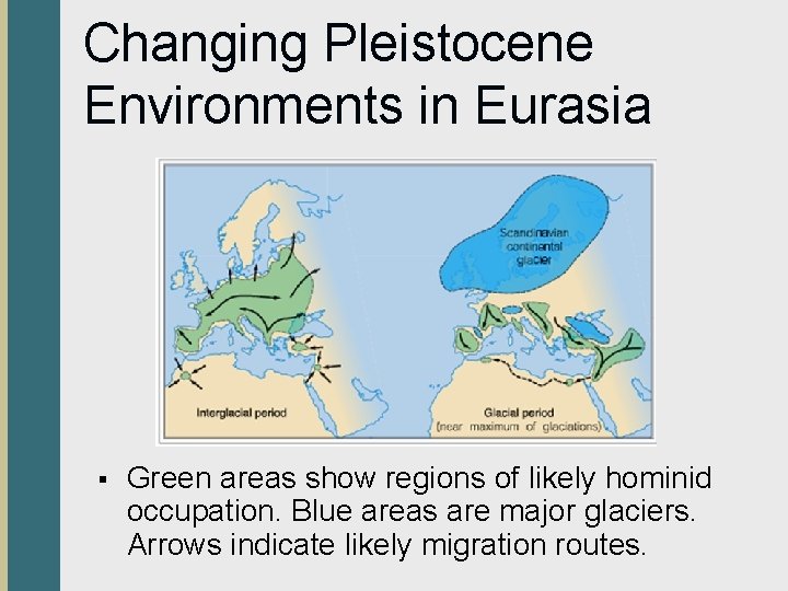 Chapter 13 Premodern Humans The Pleistocene The Pleistocene