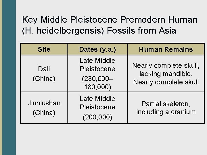 Chapter 13 Premodern Humans The Pleistocene The Pleistocene