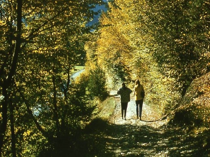 Die Bundesrepublik Deutschland Allgemeines Die geografische Lage ...