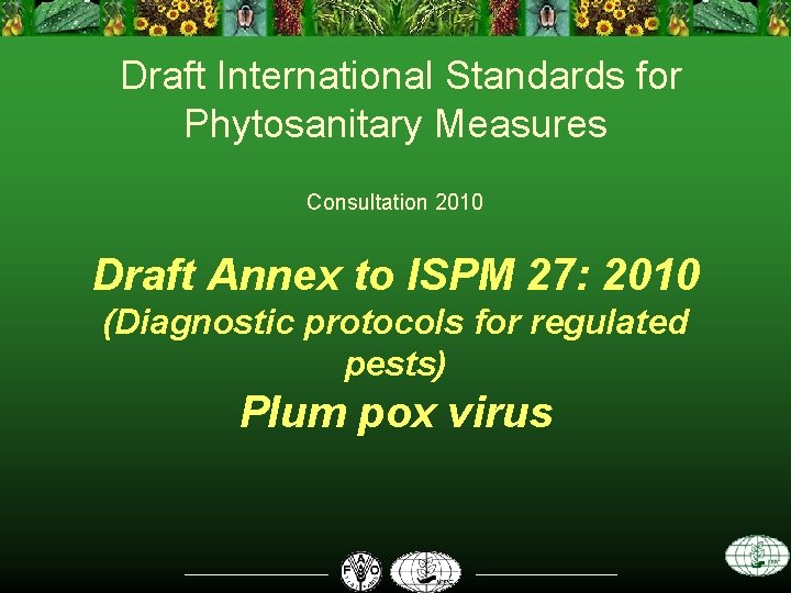 Draft International Standards for Phytosanitary Measures Consultation 2010