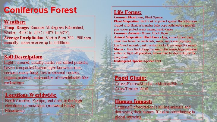 Biomes Coniferous Forest Weather Temp Range Summer 50