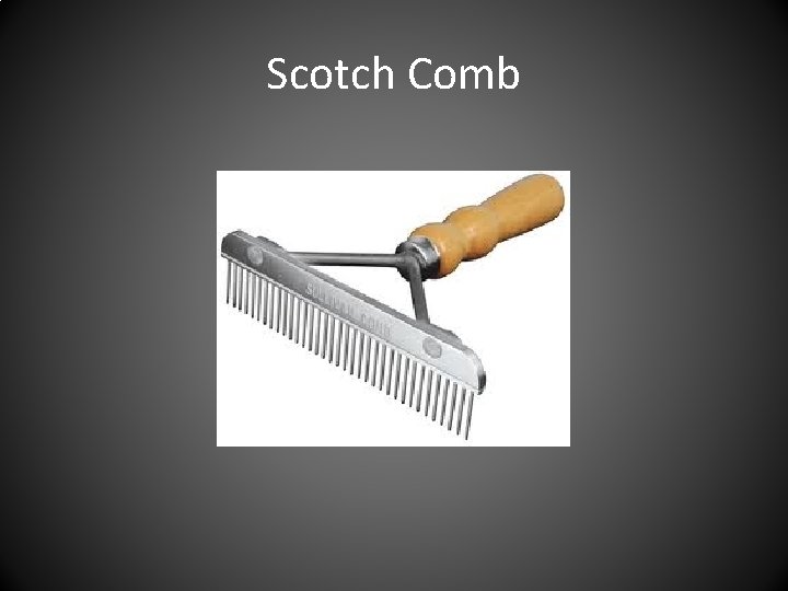 Ambu Bag Anesthetic Machine Animal Clippers Autoclave Autoclave