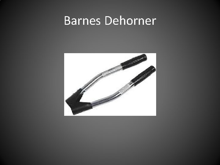 Ambu Bag Anesthetic Machine Animal Clippers Autoclave Autoclave