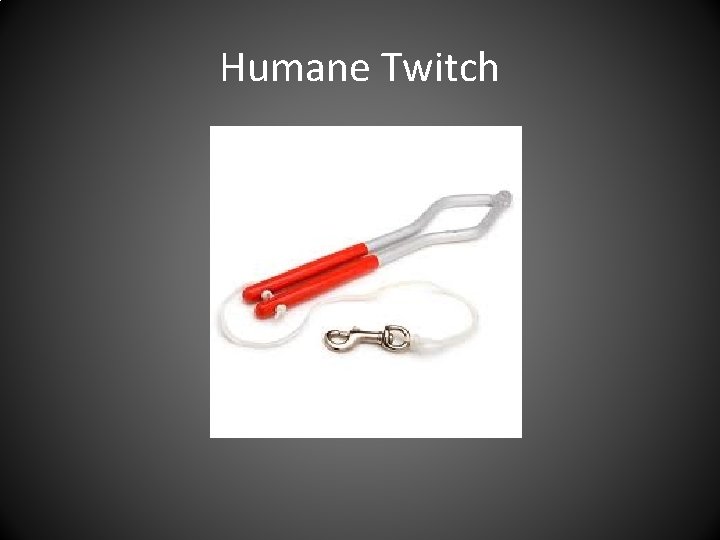 Ambu Bag Anesthetic Machine Animal Clippers Autoclave Autoclave