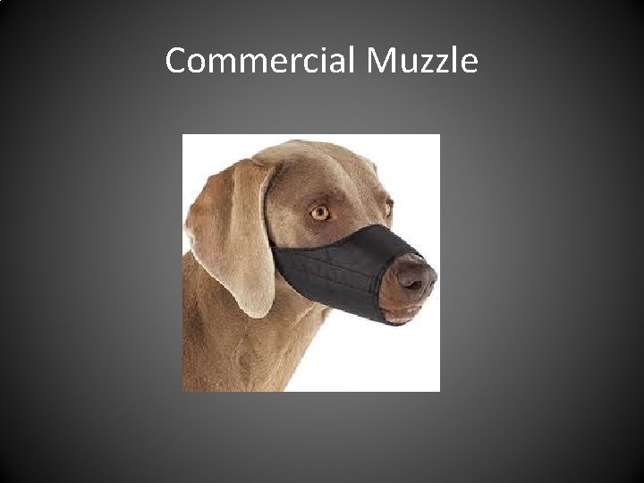 Ambu Bag Anesthetic Machine Animal Clippers Autoclave Autoclave