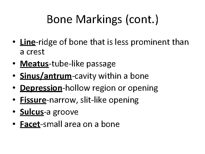 Fun facts Skeleton is the bony framework of