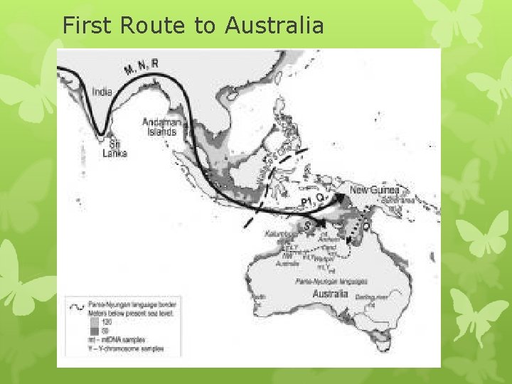 History of Australia The Aborigines of Australia The